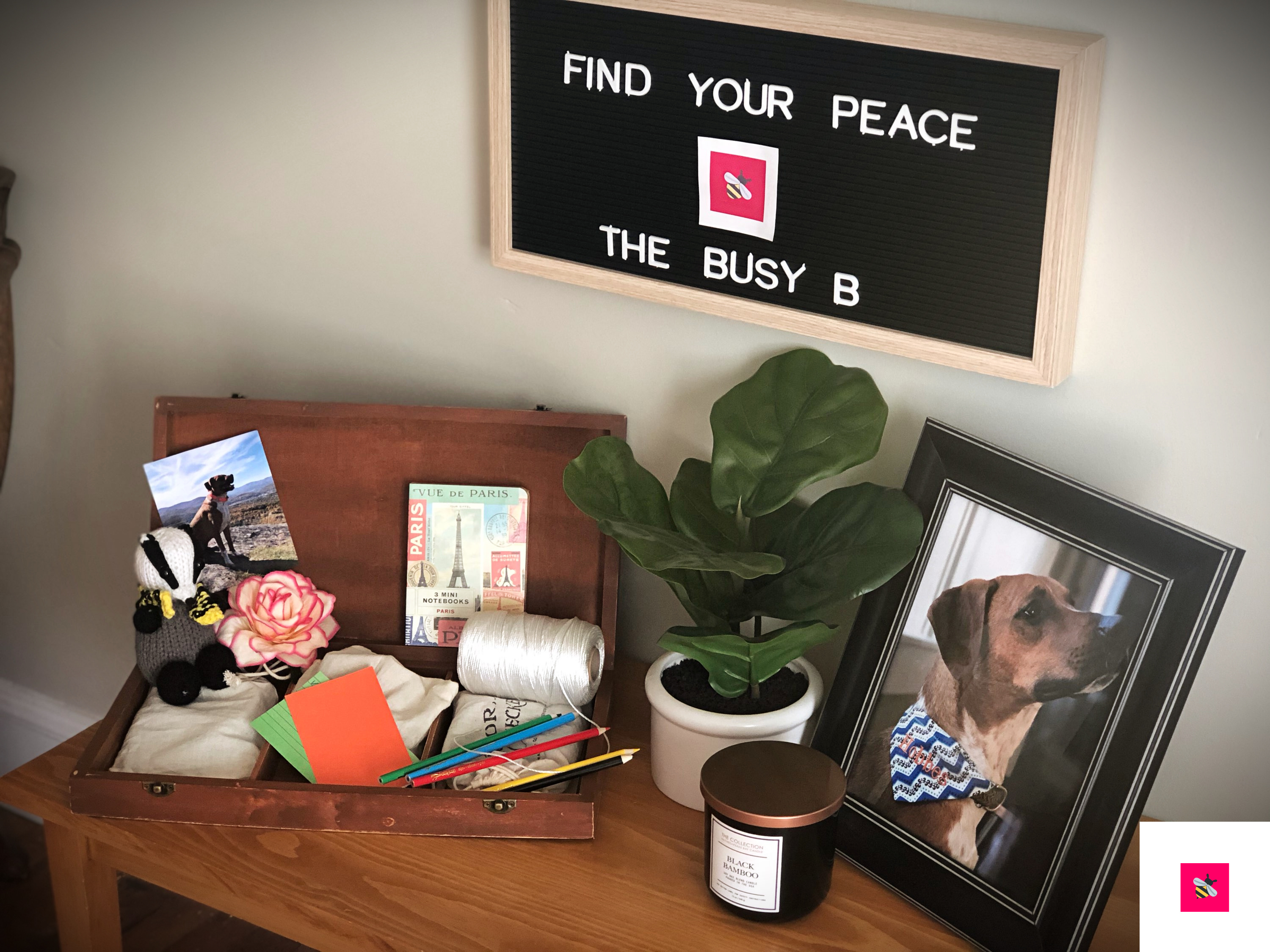 Take a Break: Responsive Self-Regulation – The Busy B